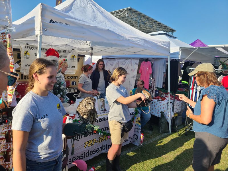 ROYAL REX- Beach Bay – Royal Rexhost Resorts