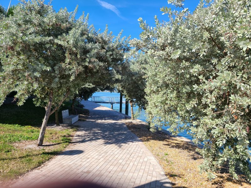 ROYAL REX- Beach Bay – Royal Rexhost Resorts