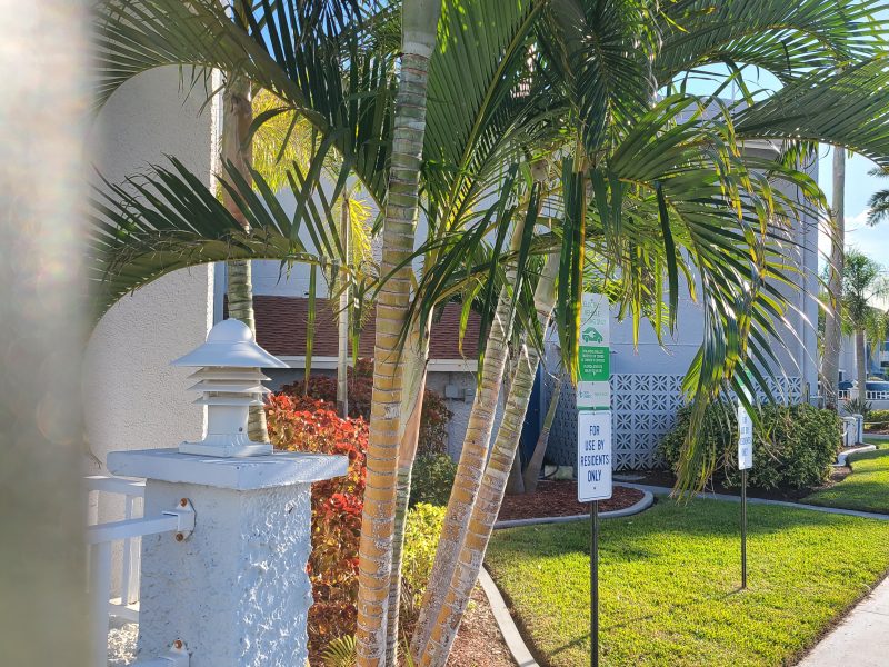 ROYAL REX- Beach Bay – Royal Rexhost Resorts