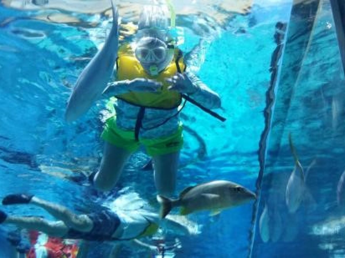 Entertainments – Royal Rexhost Resorts